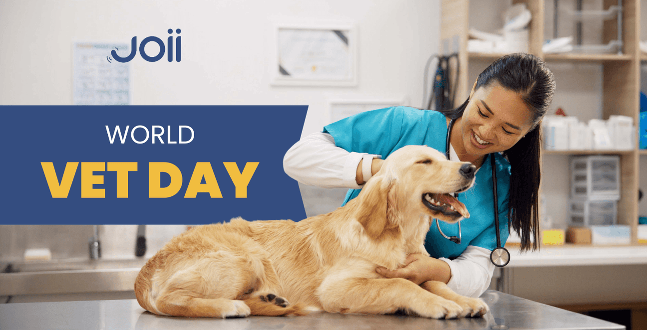World Vet Day 2026: From Herriot to High Tech | Pet Advice