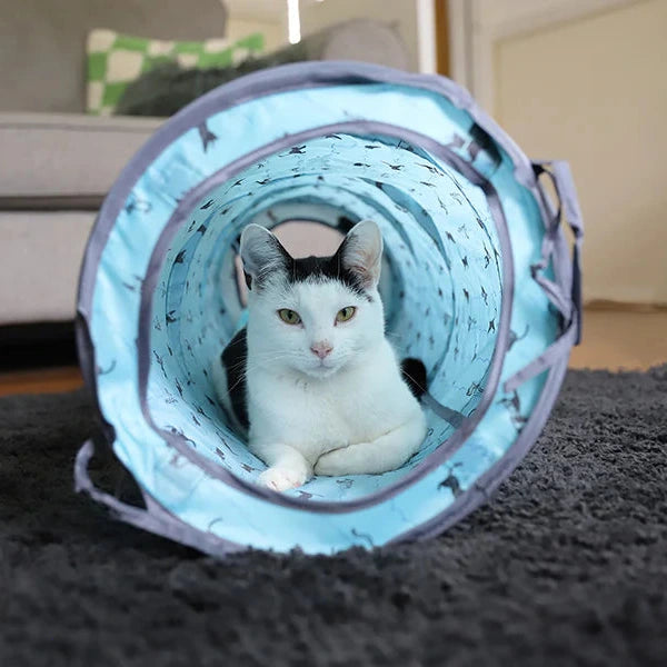 Rosewood Battersea Pop Up Play Tent & Tunnel for Cats – Joii Pet Care