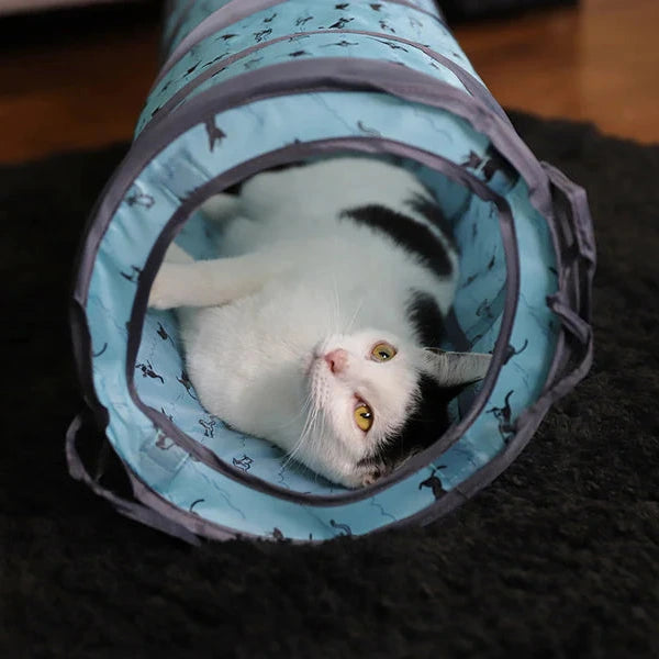 Rosewood Battersea Pop Up Play Tent & Tunnel for Cats – Joii Pet Care