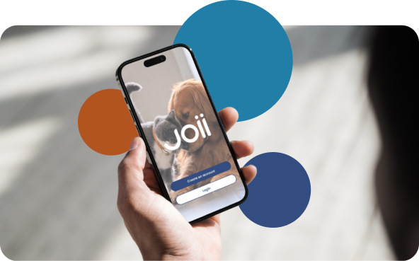 TVM Ocry-Gel Eye Support for Pets – Joii Pet Care