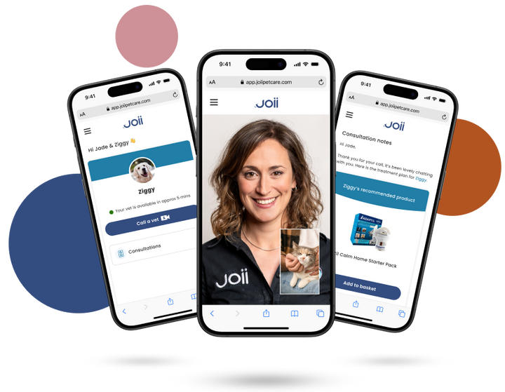 Nextmune Contego Ecodermal Skin Spray 250ml – Joii Pet Care