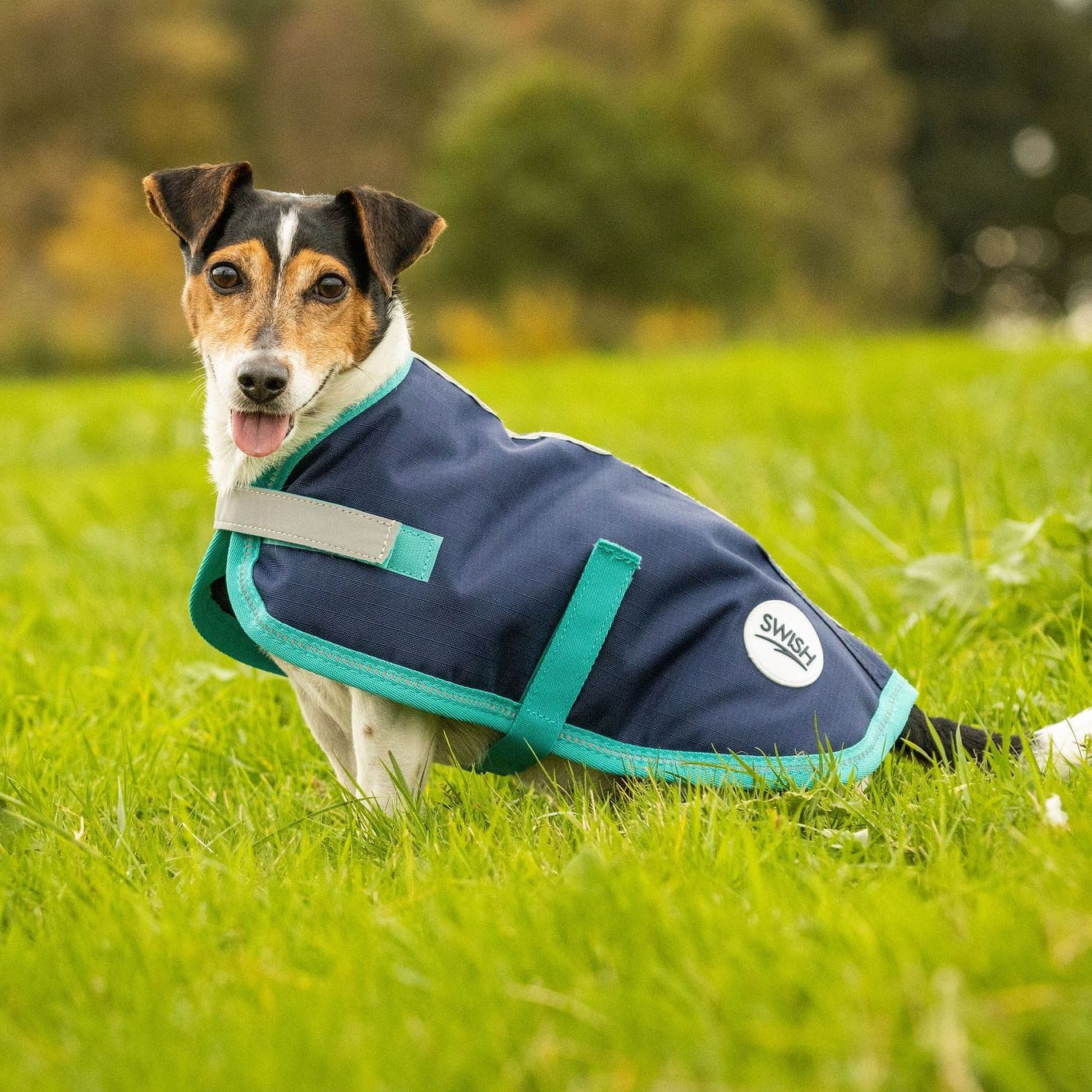 Waterproof Dog Coat - Navy | Joii Pet Shop