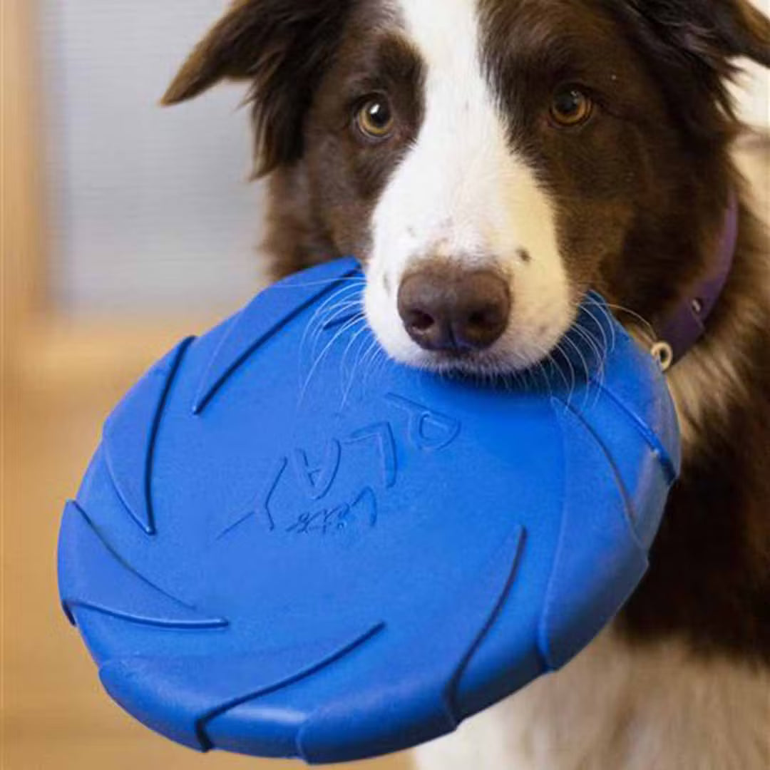 Rosewood Battersea Foam Frisbee Dog Toy – Joii Pet Care