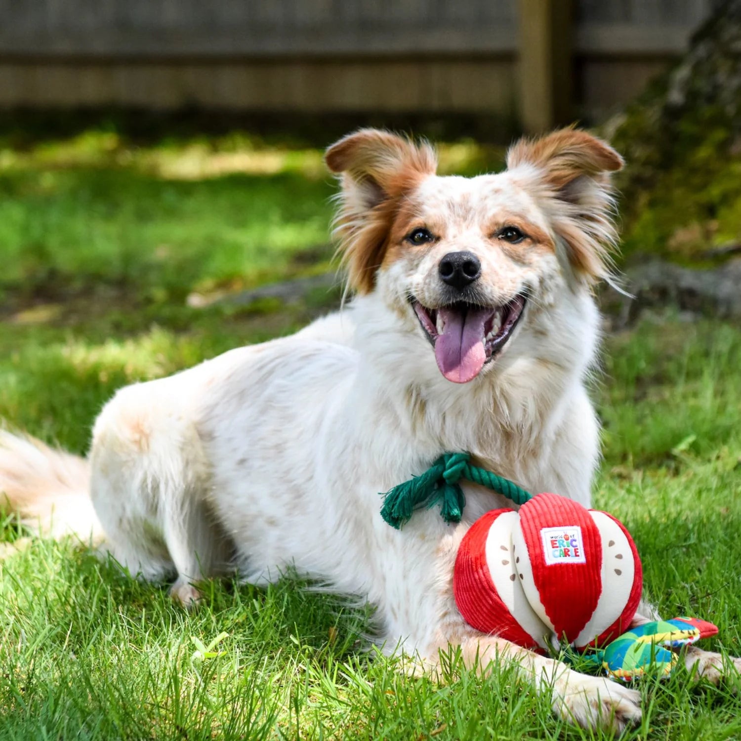 Happy Pet Very Hungry Caterpillar Rope Tug Dog Toy | Joii Pet Shop